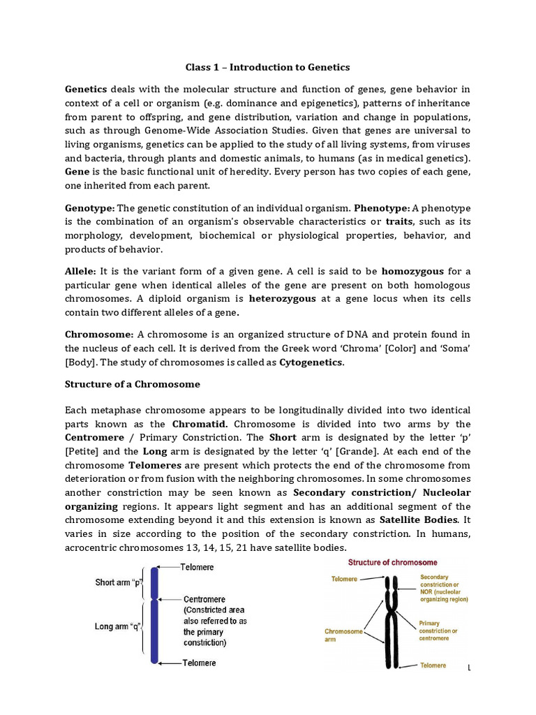 01 Introduction To Genetics | PDF | Genetics | Gene