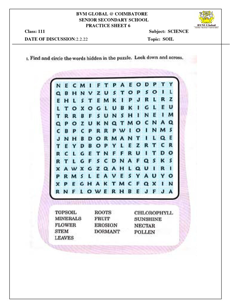 BVMG CBE - Class 3 - Sci - TERM 2 - PS 6 - SOIL - 27.1. 22 | PDF