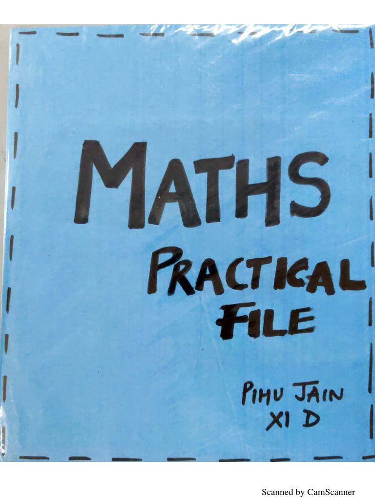 Class 11 Maths Practical File PDF | PDF