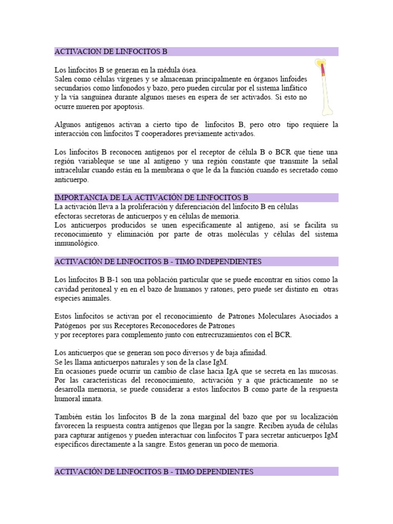 Activacion de Linfocitos B | PDF | Célula B | Linfocitos