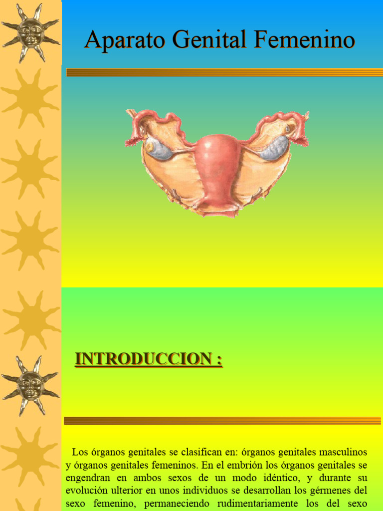 Hist Ant | PDF | Vagina | Labios