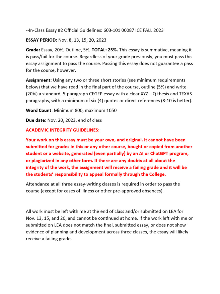 Summative Assessment Guidelines | PDF | Essays | Ellipsis