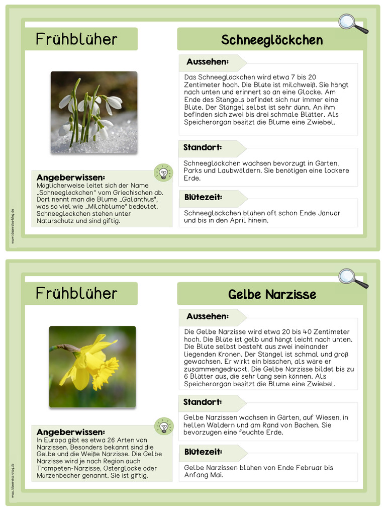 Wissenskartei - Frühblüher - Fotos2020 (PDF - Io) | PDF