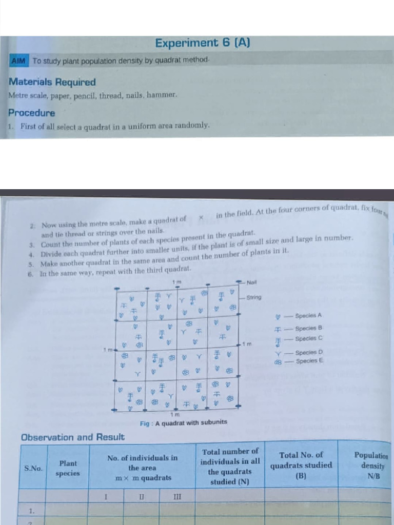 Biology Practical File | PDF