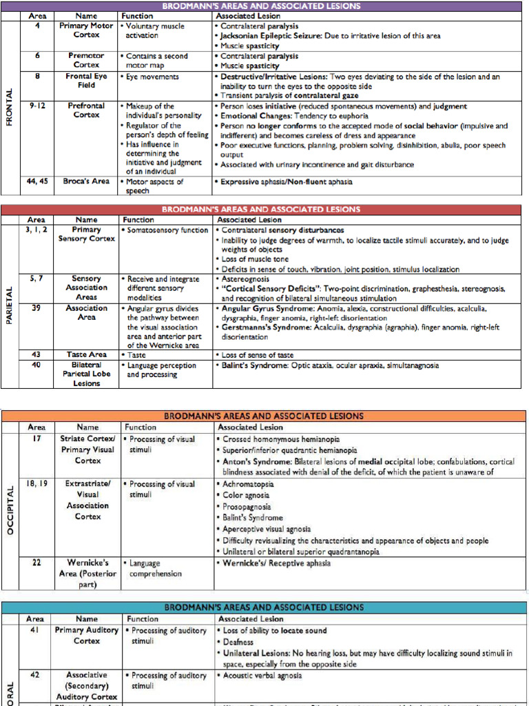Broadman's Area and Associated Lesion | PDF