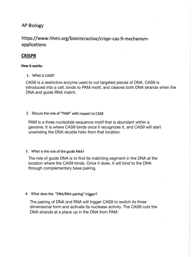 CRISPR Activity | PDF