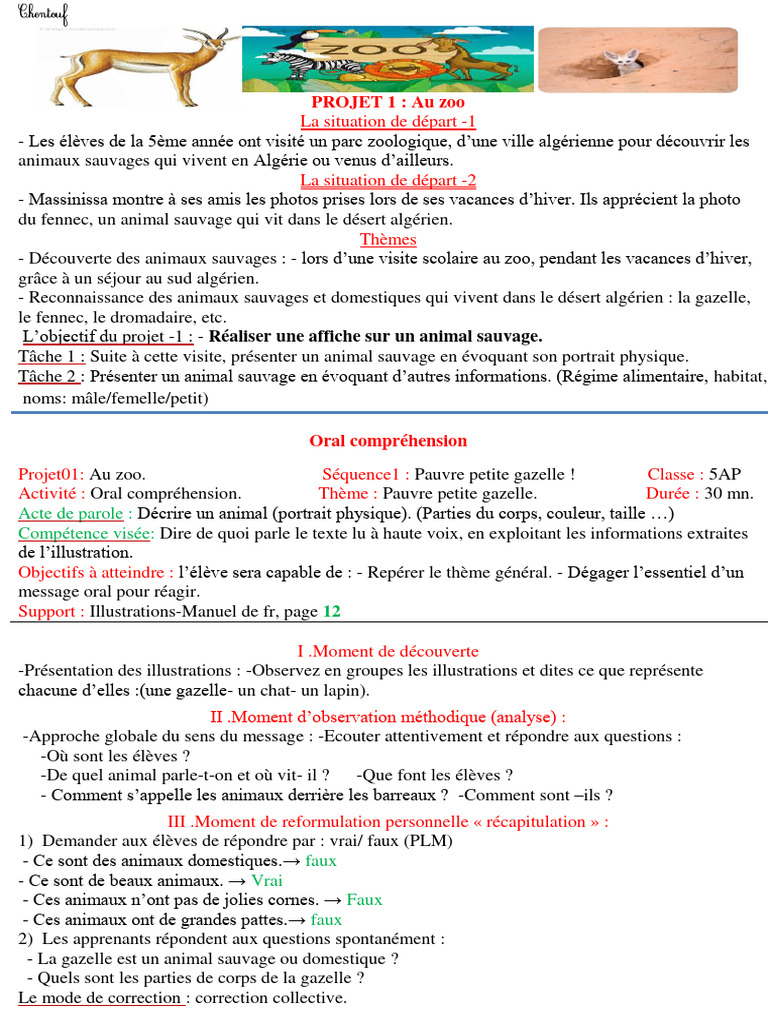 Description du lion et de la gazelle 5AP | PDF | Genre grammatical | Lion