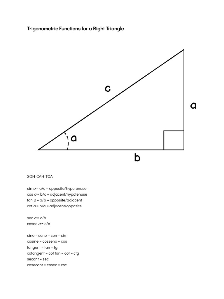 Trigonometric Functions Overview | PDF | Trigonometric Functions | Trigonometry