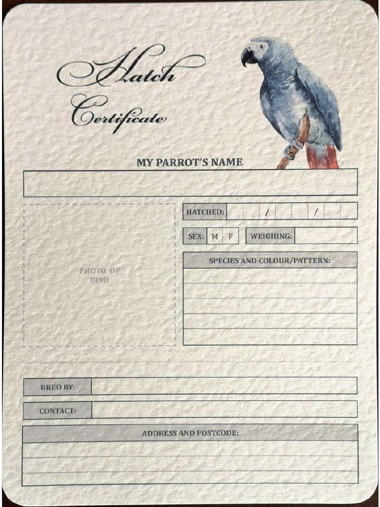 Hatch Certificate Form With Photo Space - African Grey Example 1 - by ...