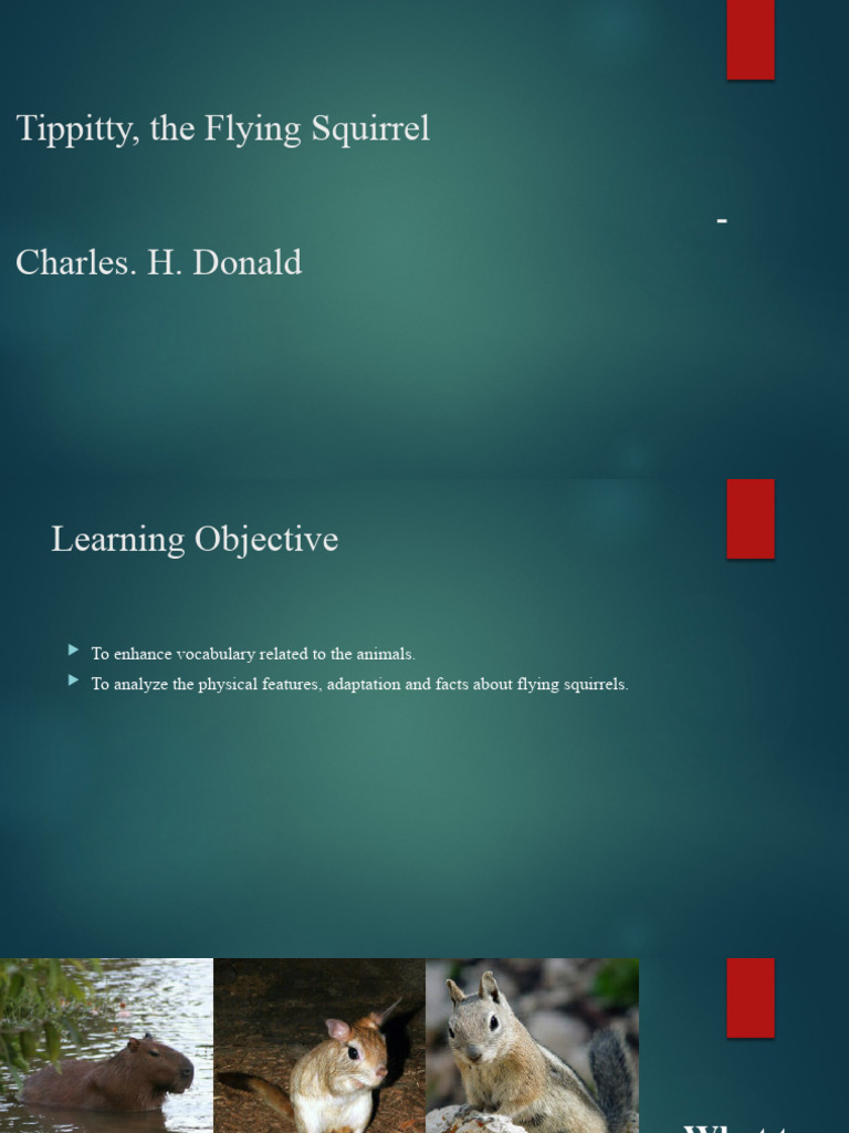 Tippity The Flying Squirrel | PDF | General Fiction