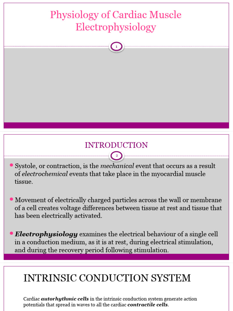 Cardiac Action Potential | PDF | Action Potential | Depolarization