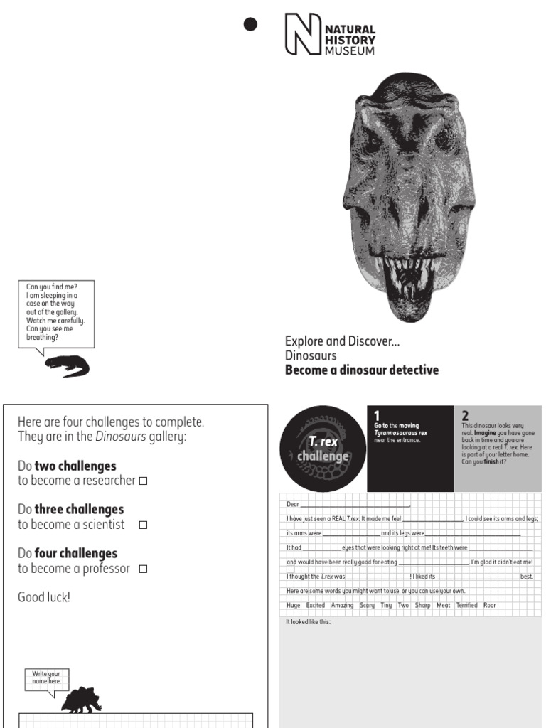Dinosaur Gallery Exploration Guide | PDF | Tyrannosaurus | Dinosaurs