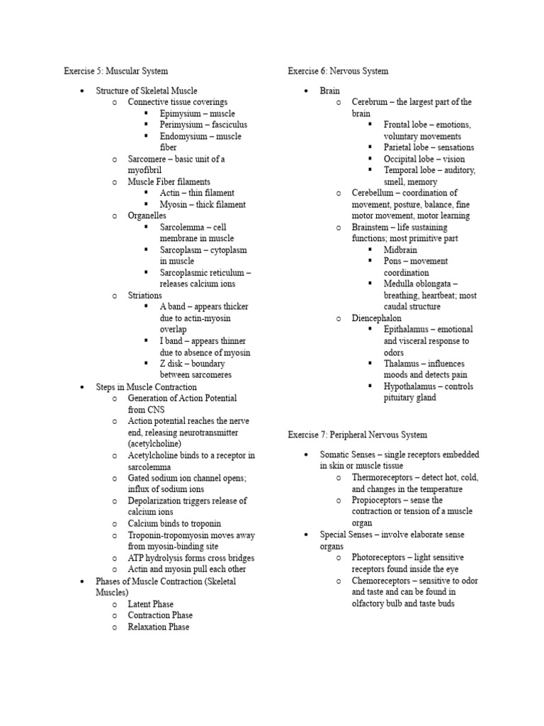HAPP 111 Laboratory Exam Reviewer | PDF | Skeletal Muscle | Muscle Contraction
