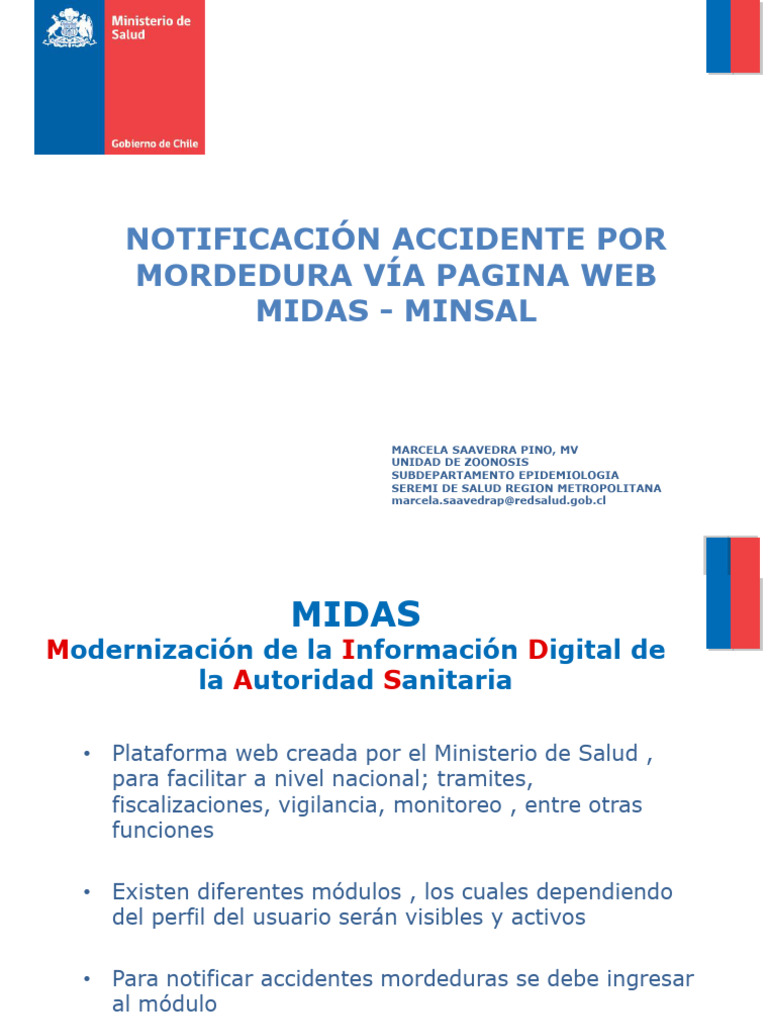 Plataforma Mordedores Midas | PDF