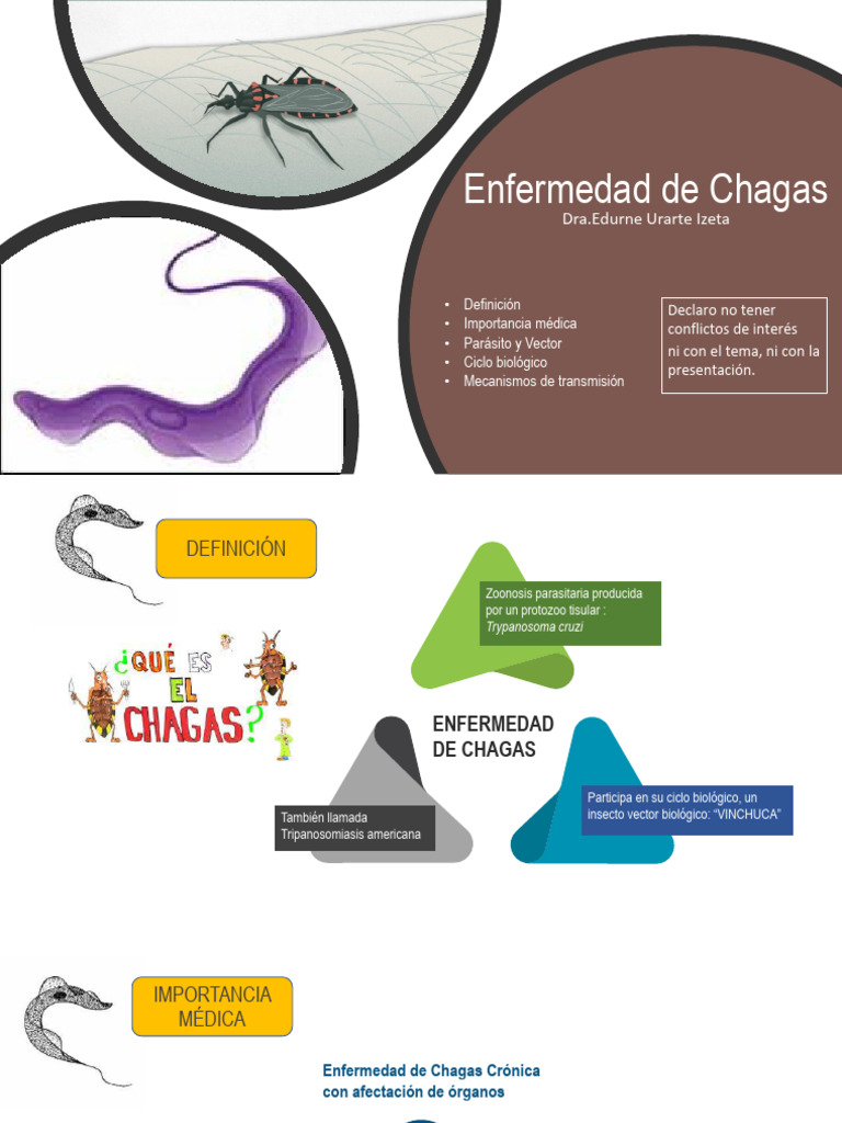 04 - Enfermedad de Chagas Biologia y Mec de Transmisión Eui | PDF | Insectos y humanos | Causas ...
