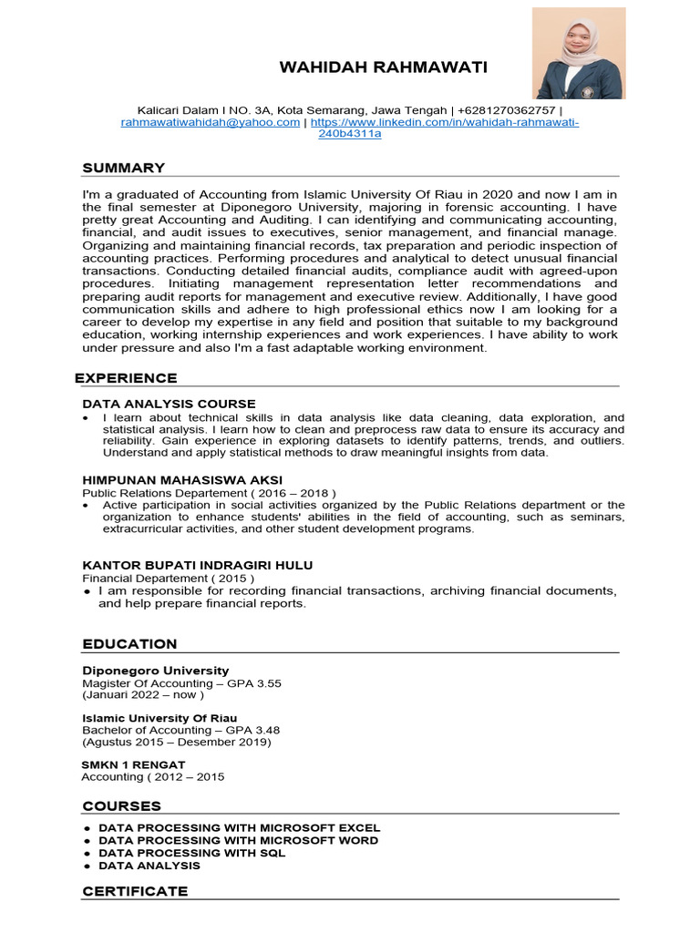 CV Auditor | PDF | Accounting | Audit