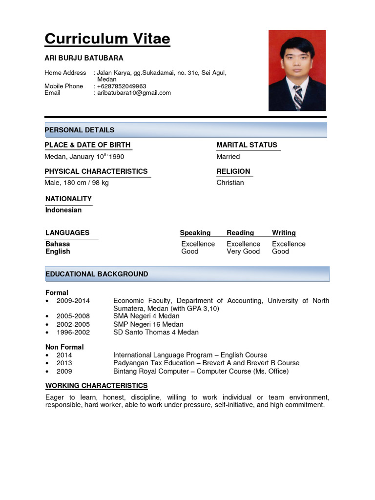 CV Ari | PDF | Inventory | Budget