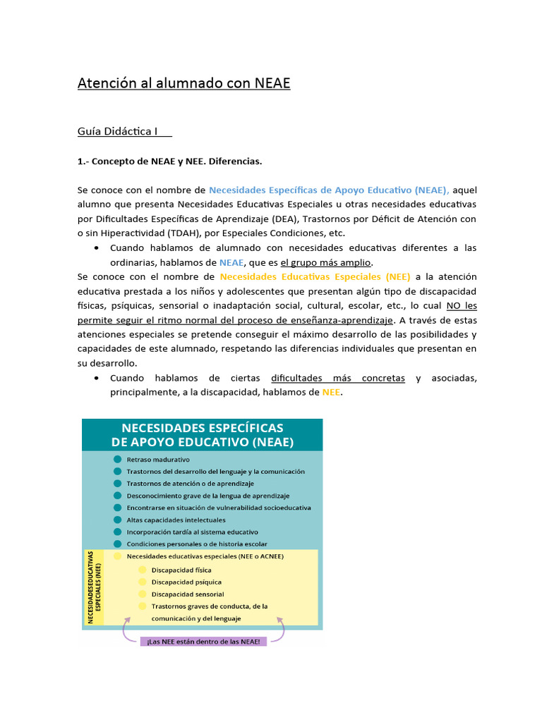 Guía NEAE y NEE: Conceptos y Principios | PDF | Educación especial | Invalidez