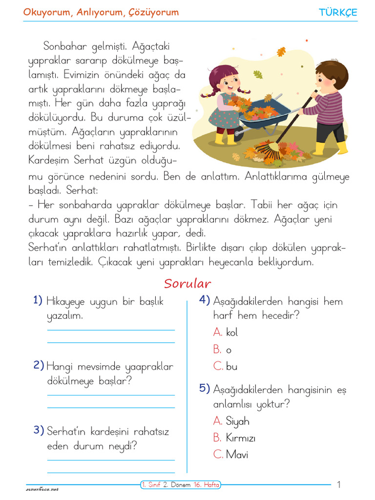 Sinif Haftalik Odev 2. Donem 16. Hafta | PDF