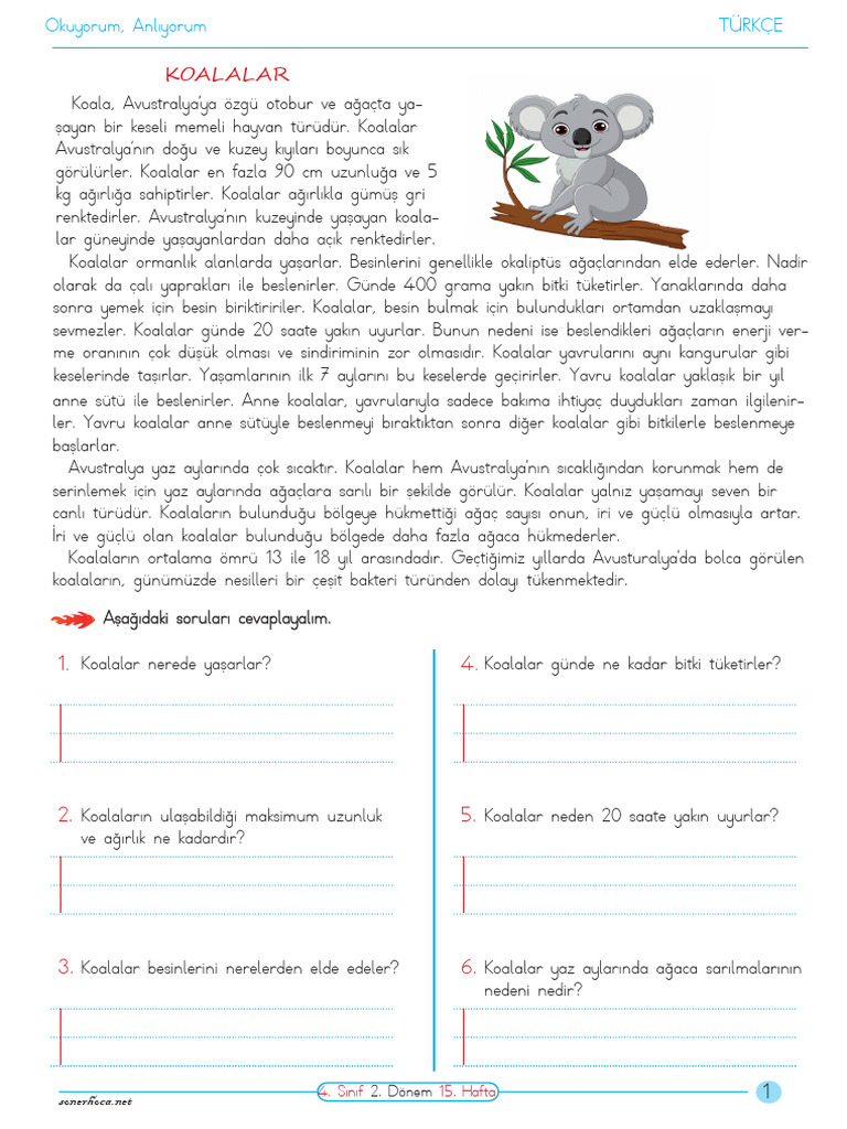 4 - Sinif-2 - Donem-15 - Hafta | PDF