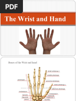 Rom Finger and Wrist | PDF | Anatomical Terms Of Motion | Thumb