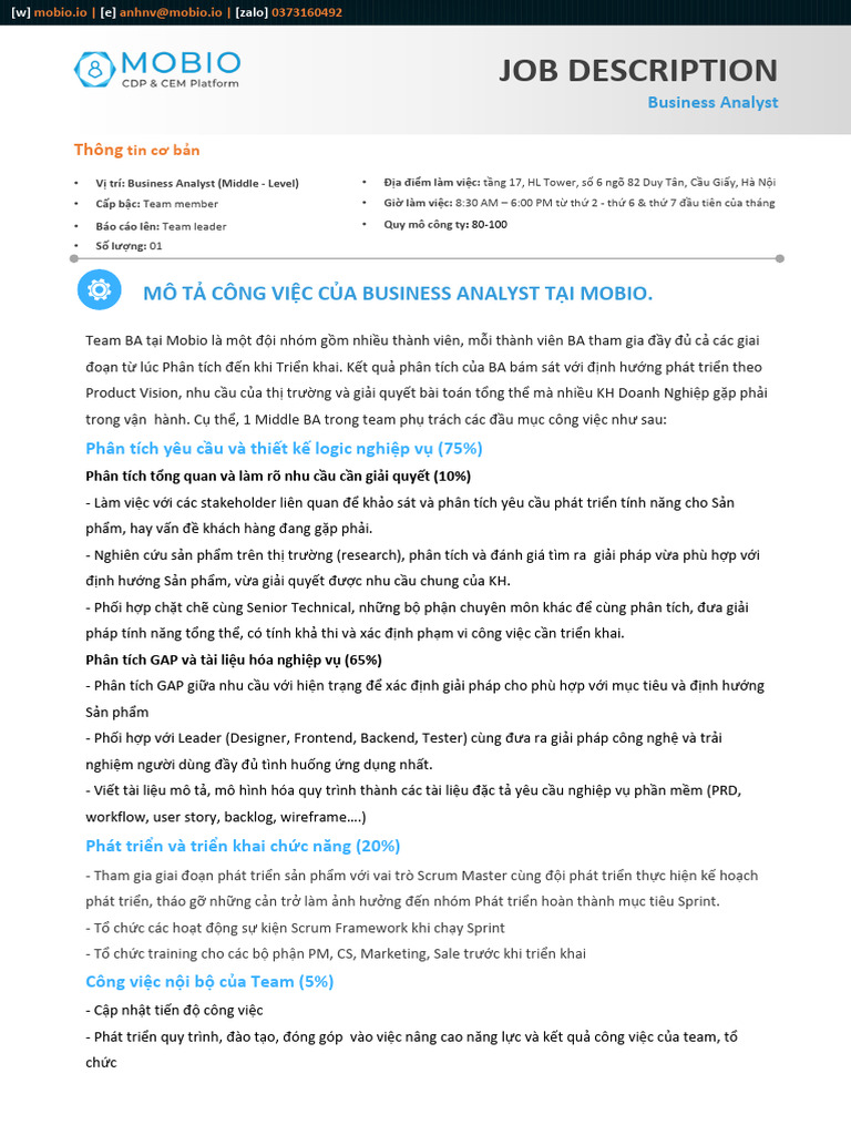 JD Business Analyst Middle | PDF