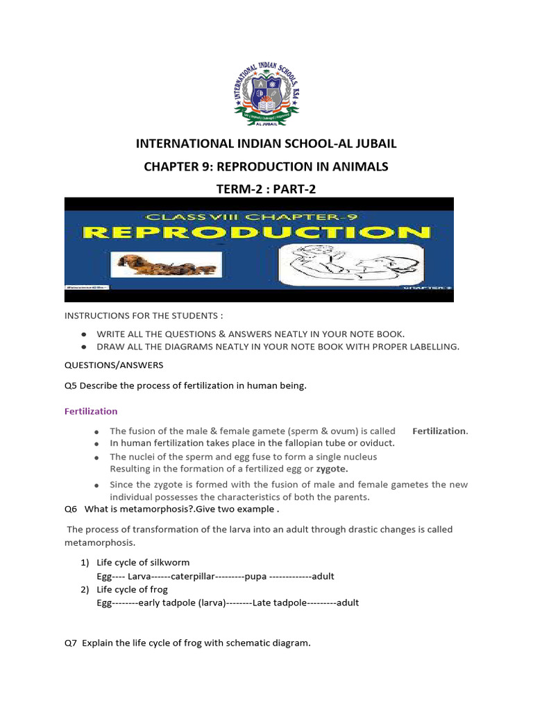 Reproduction in Animals Notes Part-2 | PDF | Fertilisation | Embryo