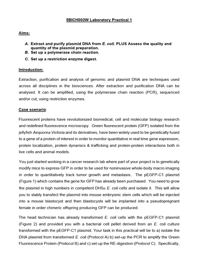 5BICH003W - Lab Practical - 1 Protocol - 2023 | PDF | Polymerase Chain ...