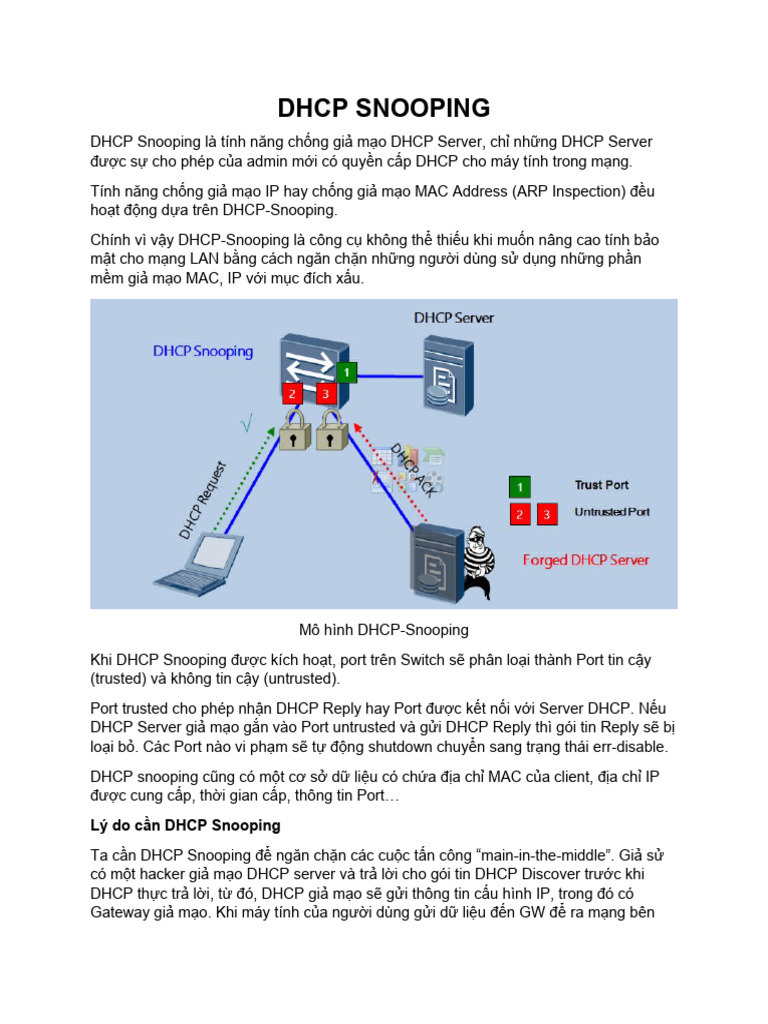 DHCP Snooping | PDF