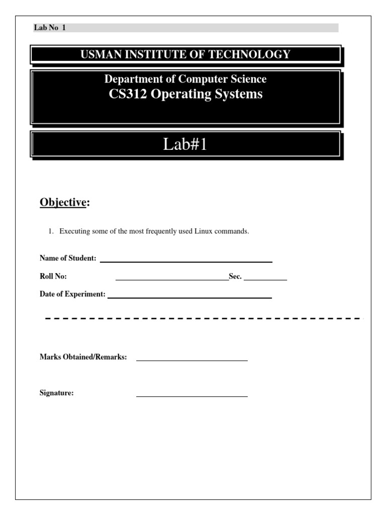 CS312 Operating Systems: Usman Institute of Technology | PDF | Computer File | Command Line ...