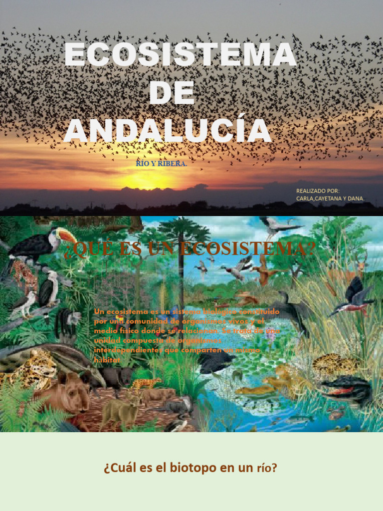 Biologia Ecosistemas y Suelo | PDF | Ecosistema | Red alimentaria