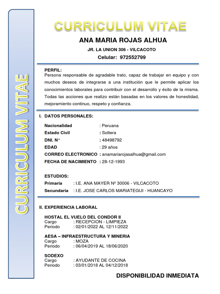 CV Ana Maria Rojas Alhua1 | PDF