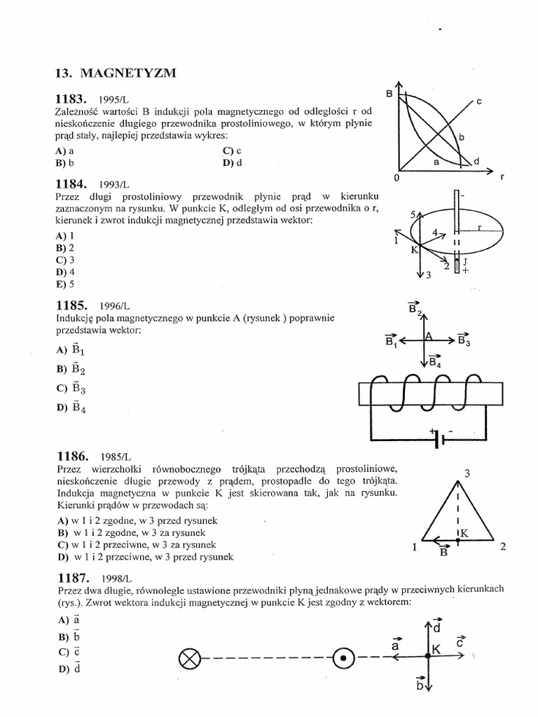 Magnetyzm | PDF