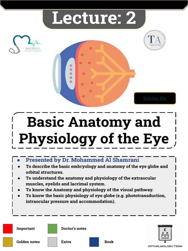 L2 - Basic Anatomy and Physiology of The Eye | PDF | Cornea | Epithelium