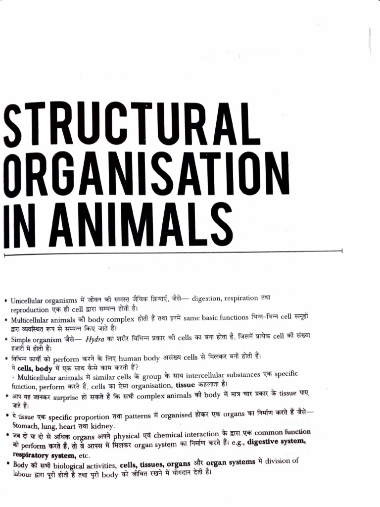 Structural Organisation in Animals by P Sharma | PDF | Epithelium ...