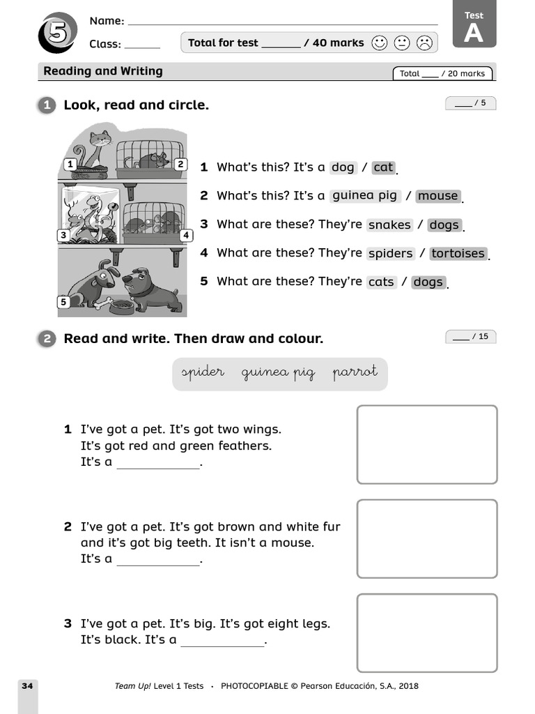 Starters Team Up 1 - UNIT 5 | PDF