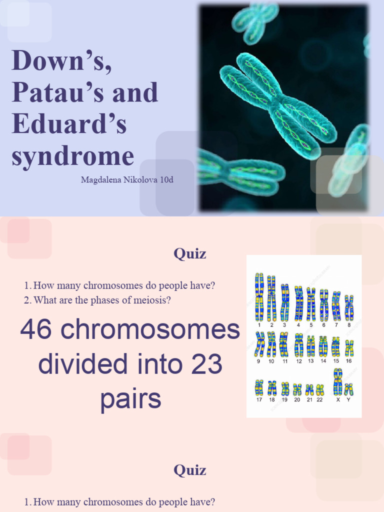 Down's, Edward's and Patau's Syndrome | PDF | Down Syndrome | Genetics