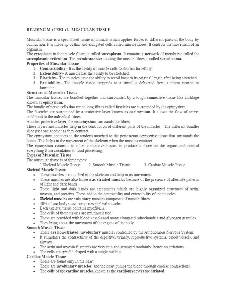 READING MATERIAL - Muscular Tissues | PDF | Skeletal Muscle | Cardiac ...