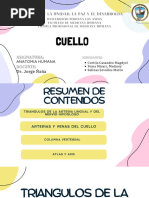 (Anatomía) Triángulos de Pirogoff y Béclard | PDF | Medicina CLINICA ...