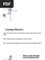 AQA GCSE PE - Workbook 1 - The Skeleton | PDF | Anatomy ...