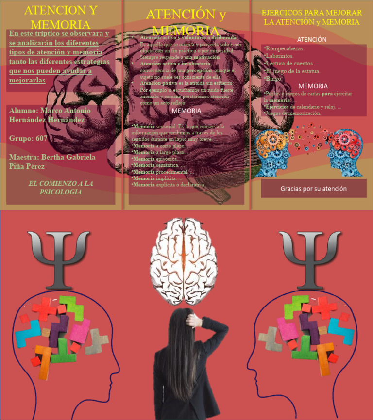 Triptico de Atencion y Memoria | Descargar gratis PDF | Memoria | Ciencias del comportamiento