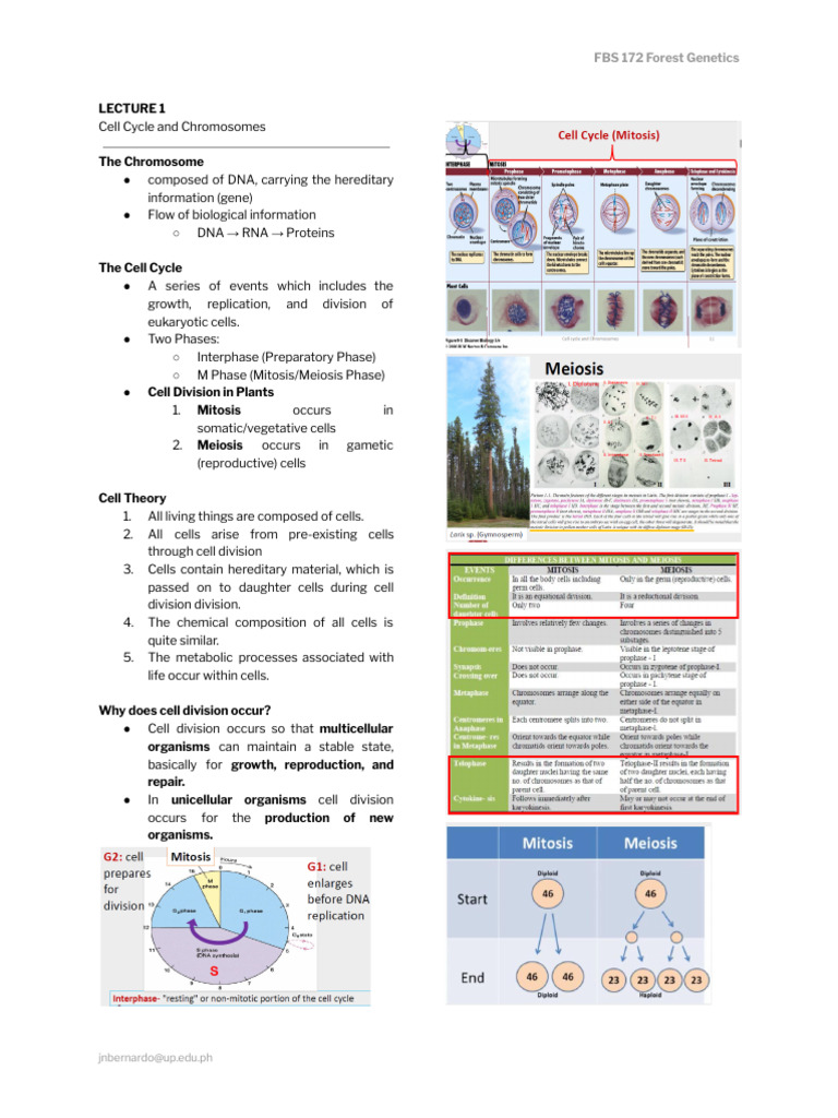 FBS 172 - 1ST LQ | PDF | Ploidy | Dominance (Genetics)