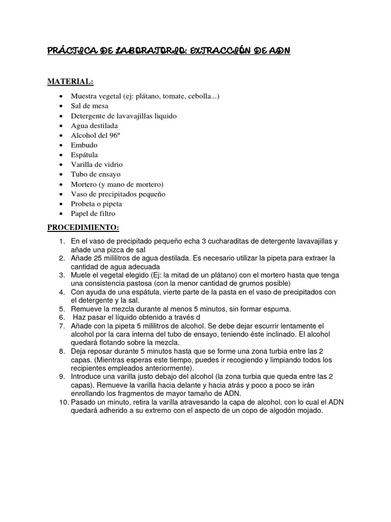 Practica Extracciã N and Del Platano | PDF | Lavavajillas | sal