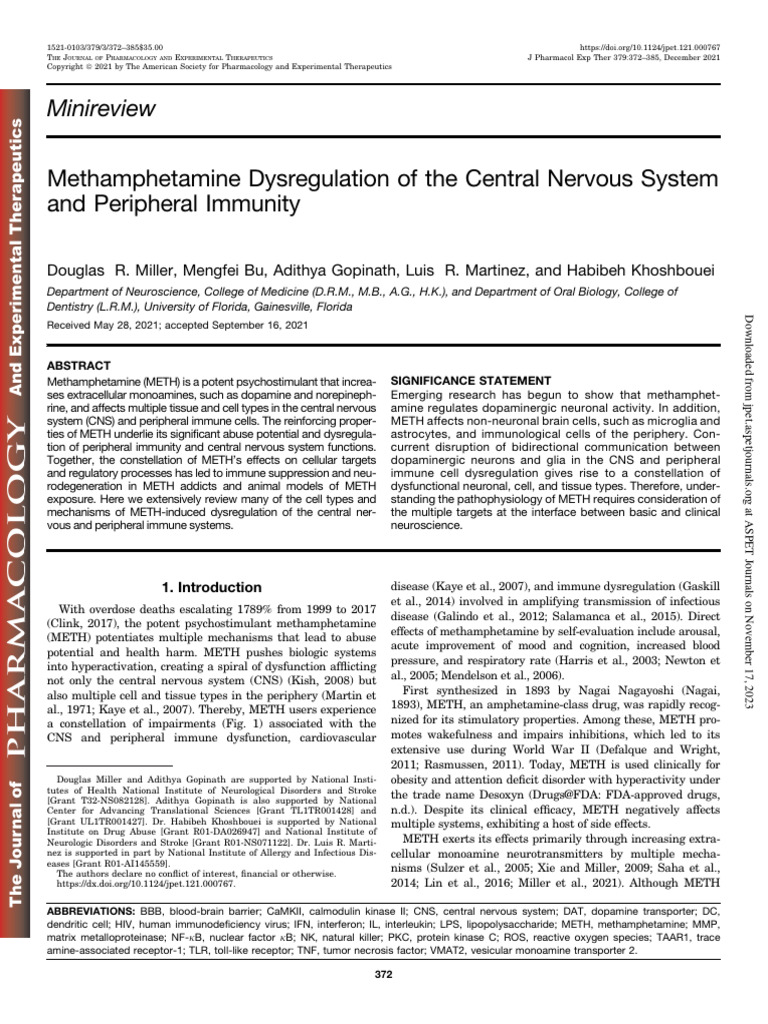 Methamphetamine Dysregulation of The Central Nervous System Ingles ...