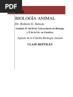 Clasificación de Anápsidos y Diápsidos | PDF | Serpiente | Reptil