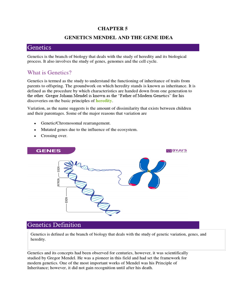 CHAPTER 5-Genetics Lesson 1 | PDF | Gene | Genetics