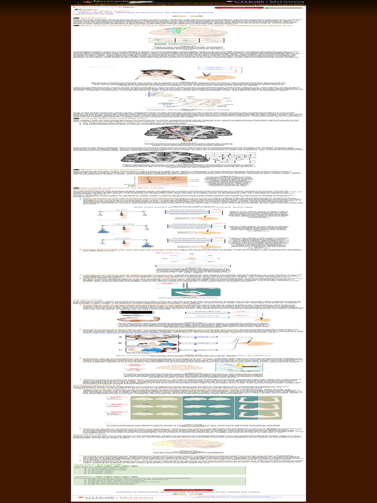 Chapter 3 Motor Cortex | PDF | Cerebral Cortex | Pyramidal Cell