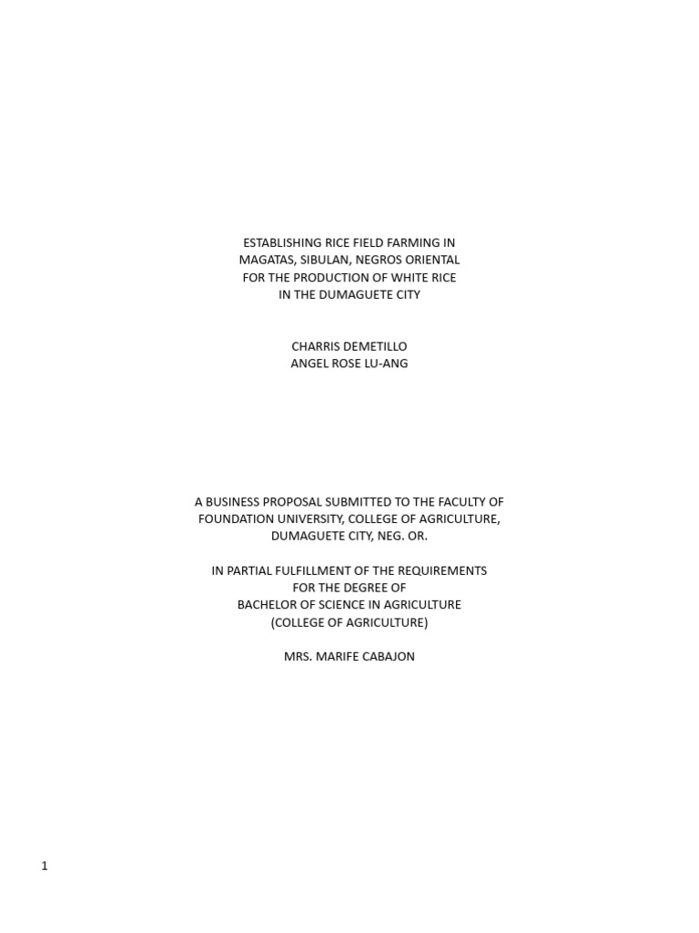 Business Plan For Rice | PDF | Rice | Agriculture