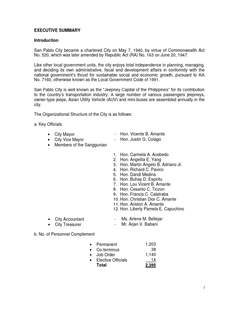 San Pablo City Executive Summary 2022 | PDF | Audit | Accounting San Pablo City Executive Summary 2022 | PDF | Audit | Accounting