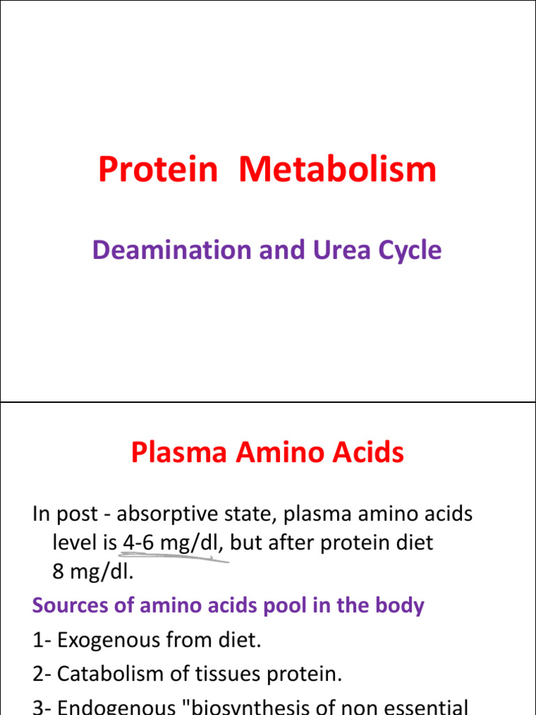 Bio - Urea Cycle | PDF | Nucleotides | Biosynthesis